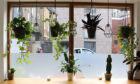 Smashing Kitchen, London Fields, restaurant review: ‘An oasis of calm ...