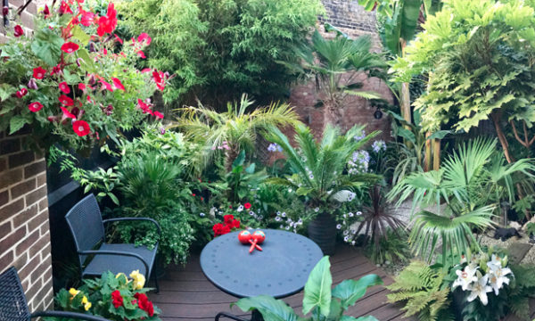 Hackney gardeners spring into action to bring nature’s tranquillity to ...