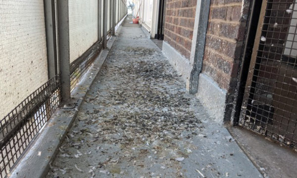 ‘We deserve dignity’: Residents of Homerton estate hit out at council ...