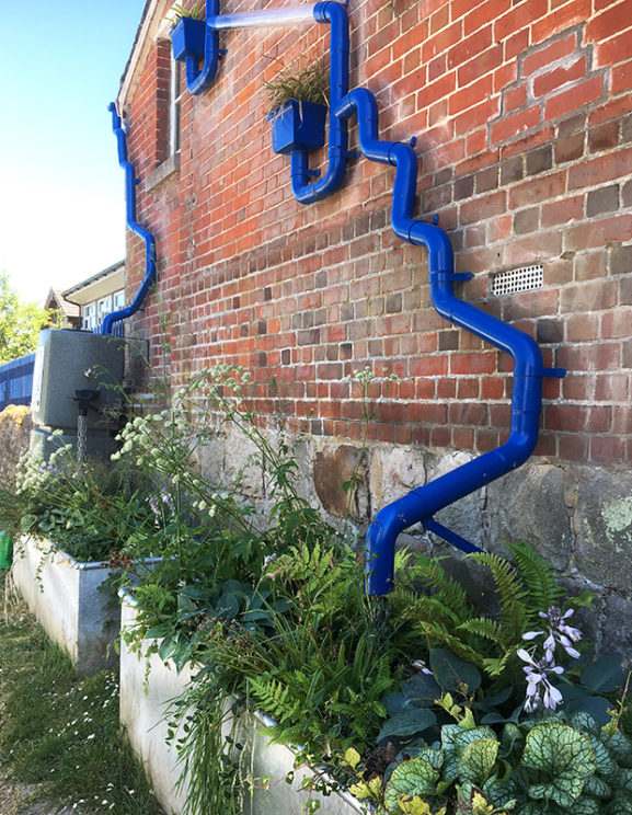 The Citizen Gardener: Bringing in the rain – Hackney Citizen