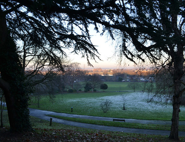 Fears of ‘privatisation’ of Springfield Park under council’s ...