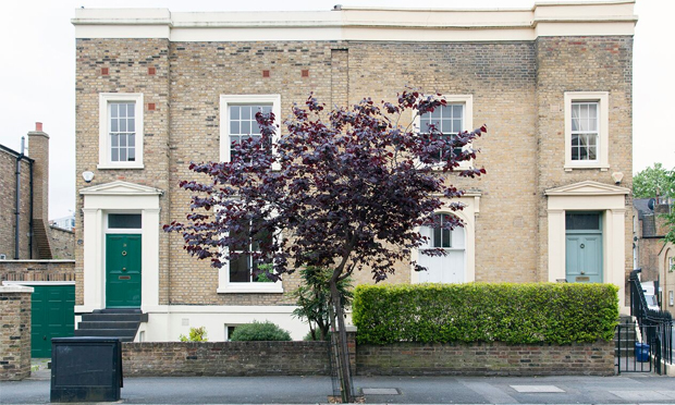 London Street Trees – Hackney Citizen