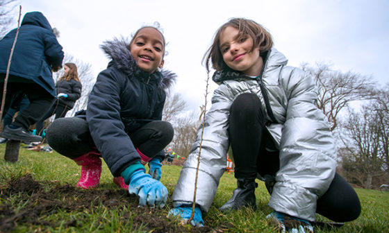 ‘Greening the grey’: Clapton pupils help plant 780 trees on former ...